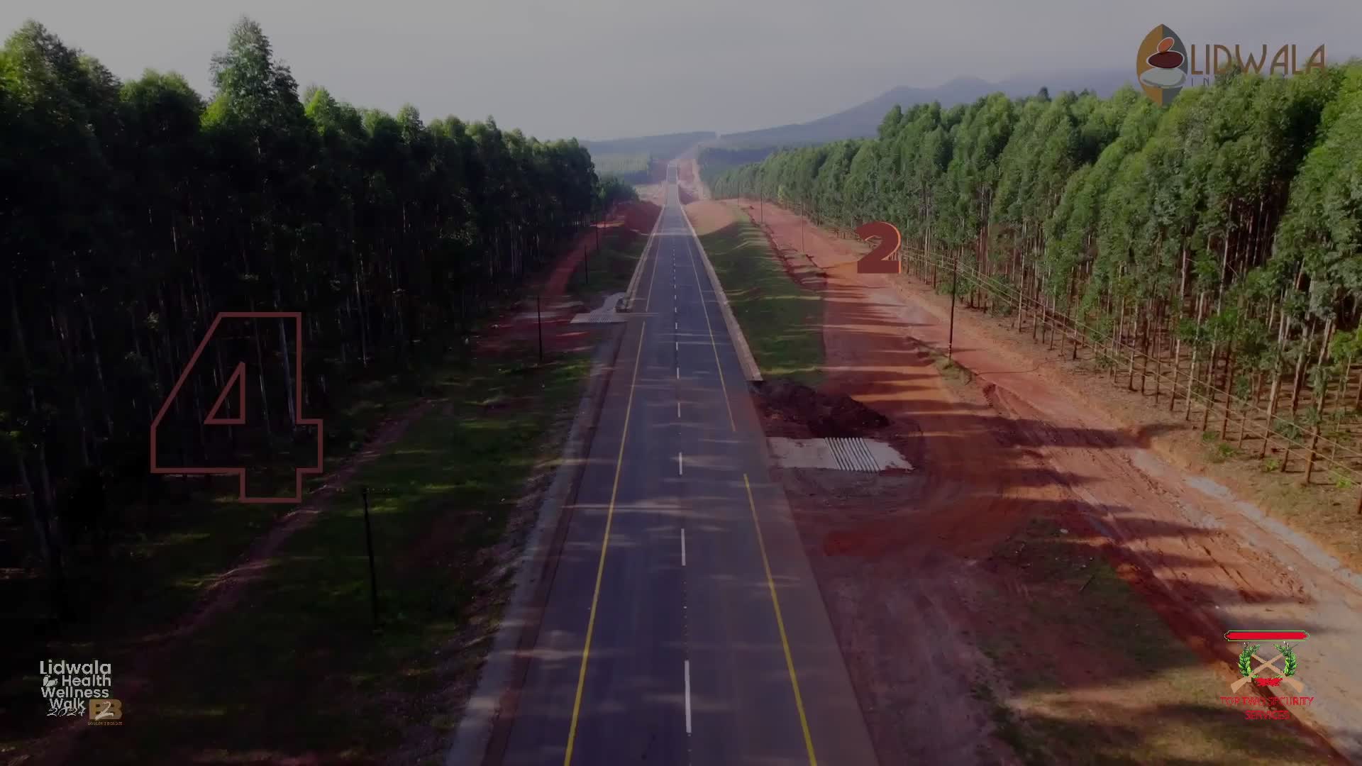 Lidwala Health Wellness Walk 2024 | Files.fm.